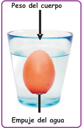 Trabajando con la ciencia...¿flota o se hunde? - Diario de una profe